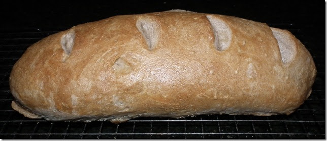 Baking And Boys!: Blessed Bread, No Knead Bread and Honey Whole Wheat Bread